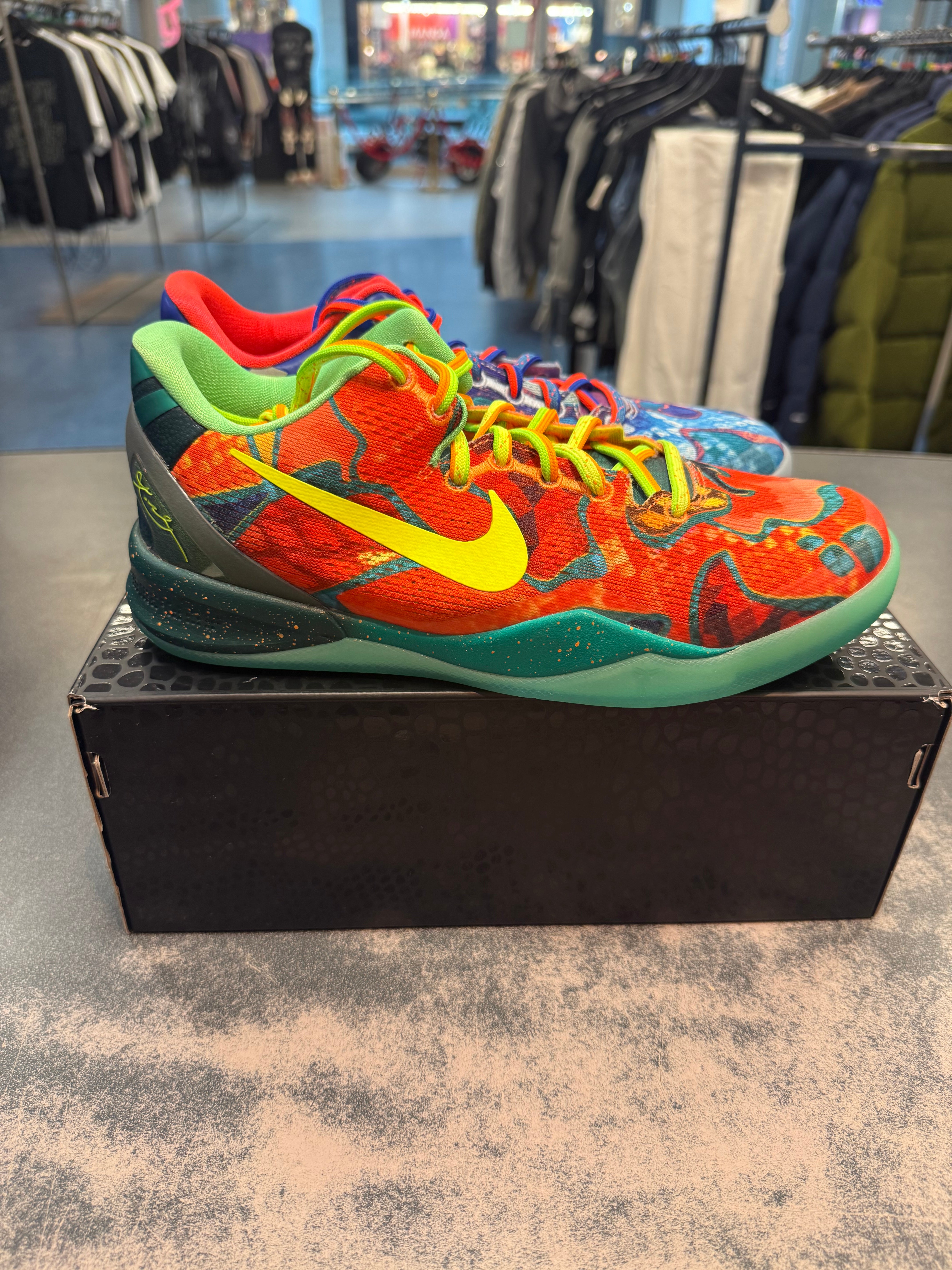 Kobe 8 Protro "What The" Size 7y Preowned – Hype World